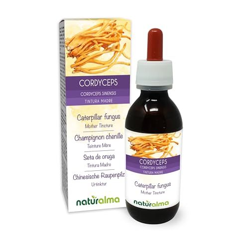 Vegan mushroom extract for energy