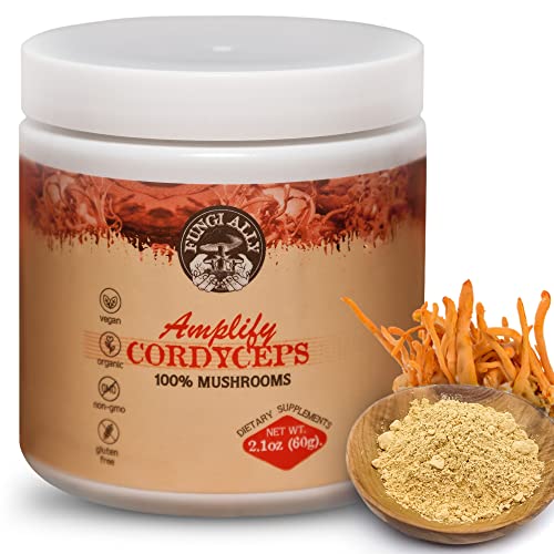 vegan mushroom extract for immunity