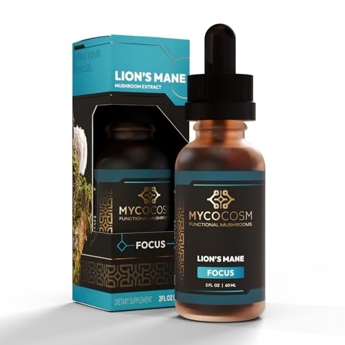 Vegan mushroom extract for memory support