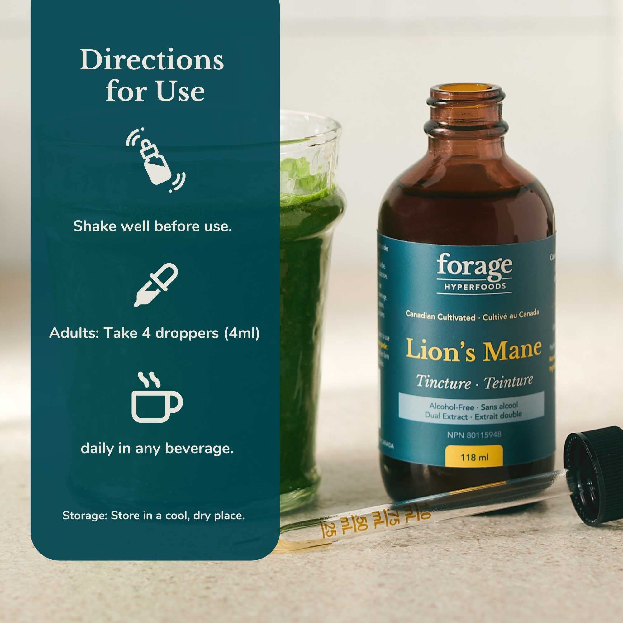 Vegan mushroom extract for memory