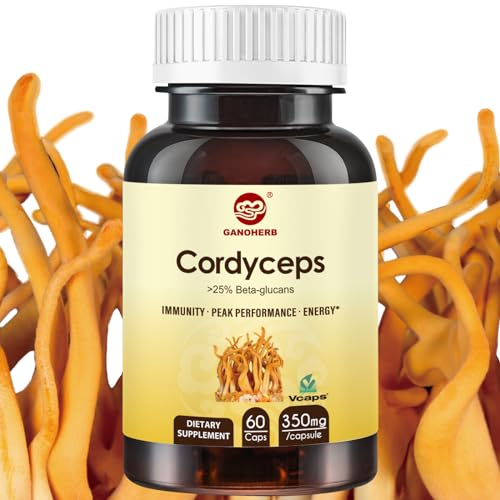 vegan mushroom extract supplement