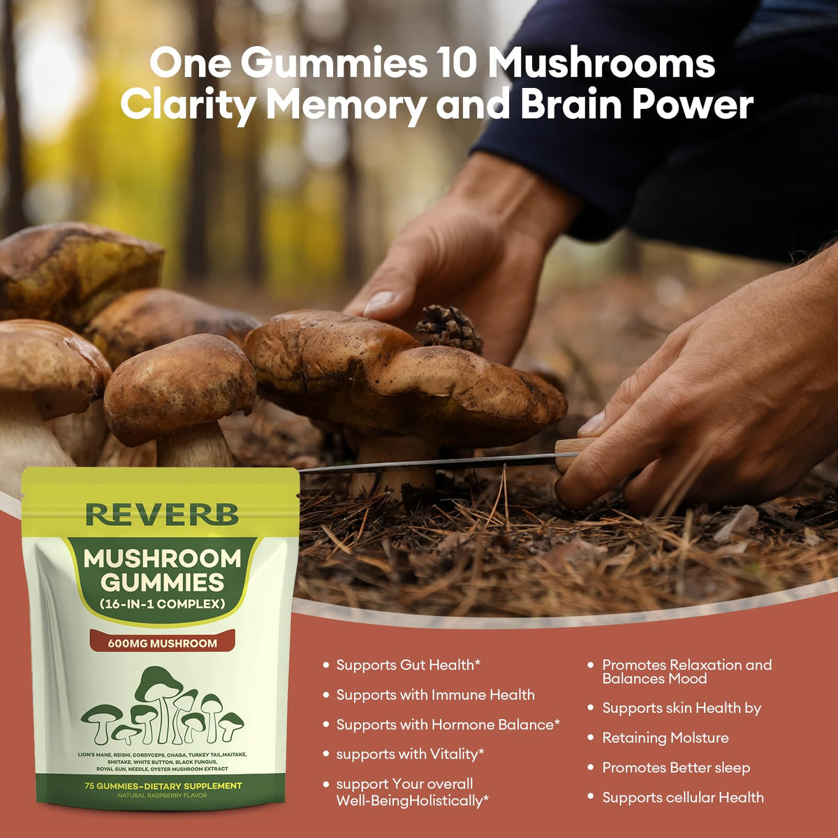 Vegan mushroom gummies for energy boost