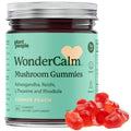 vegan mushroom gummies for stress relief
