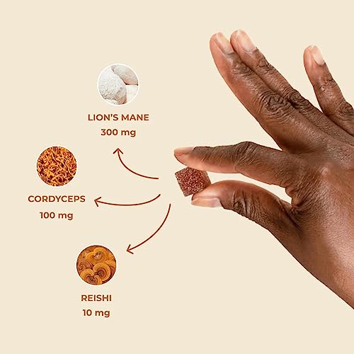 vegan mushroom gummies for vitality