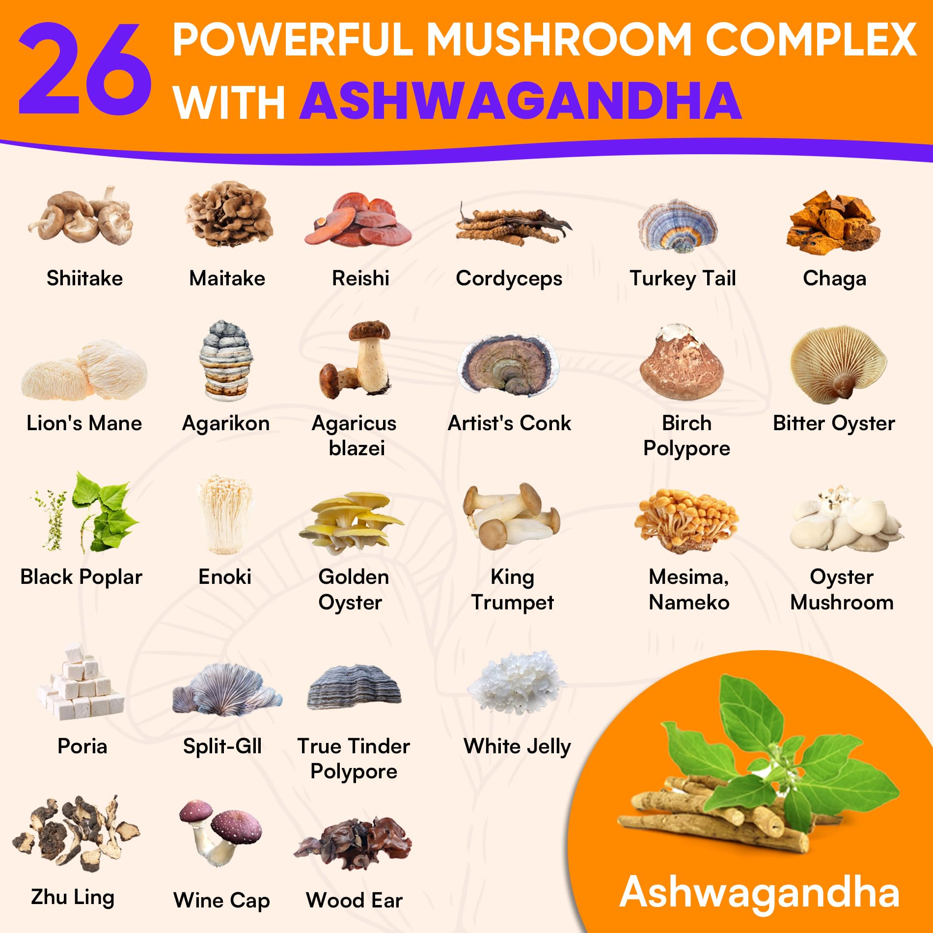 Vegan mushroom gummies for wellness