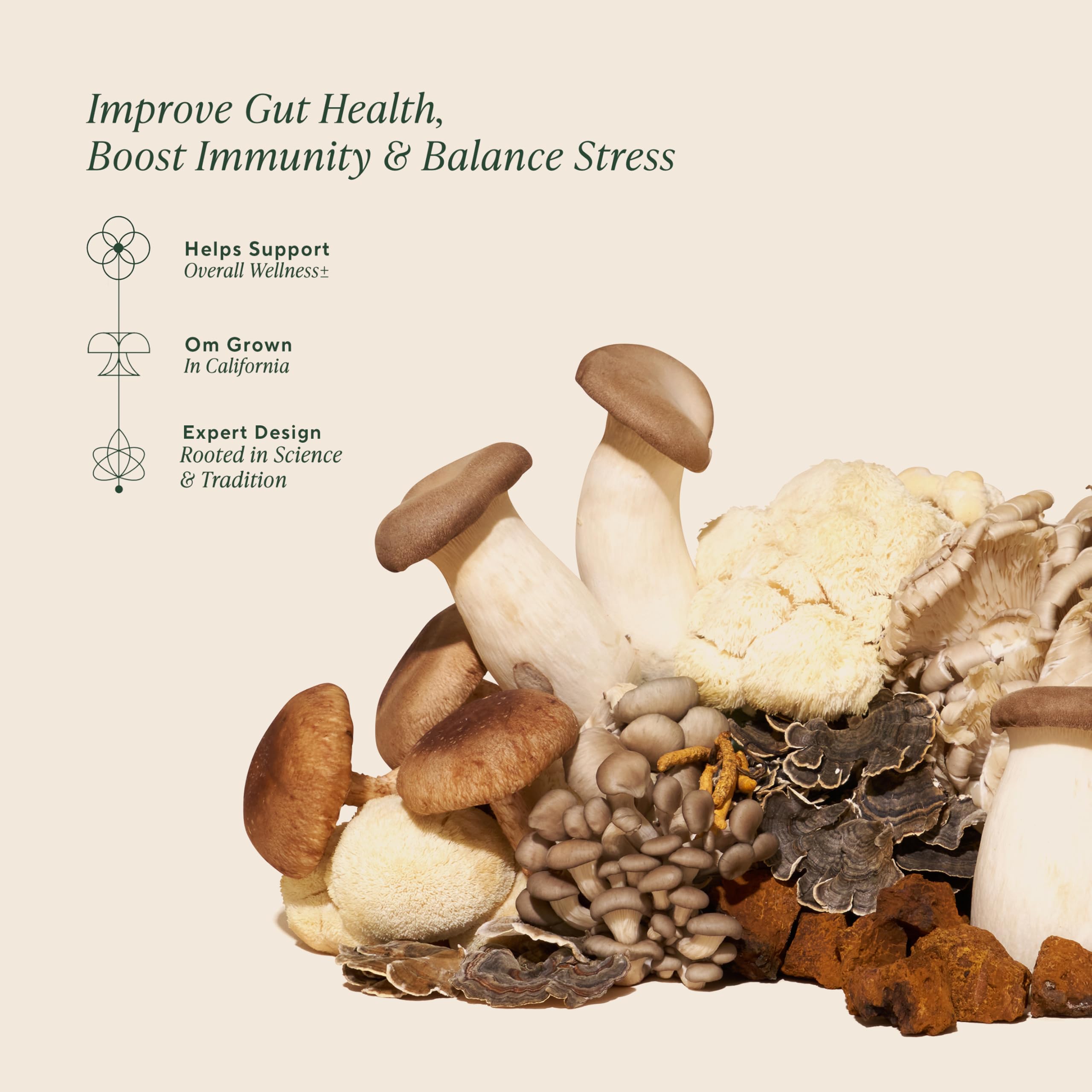 vegan mushroom gummies for wellness
