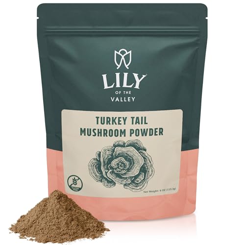 Vegan mushroom powder for health