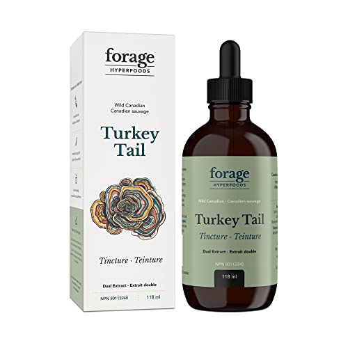 vegan mushroom superfood liquid tincture