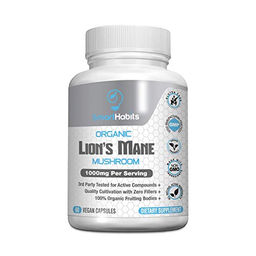 vegan mushroom supplement for brain health
