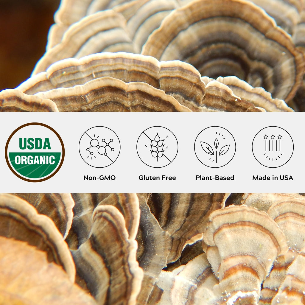 vegan mushroom supplement for energy