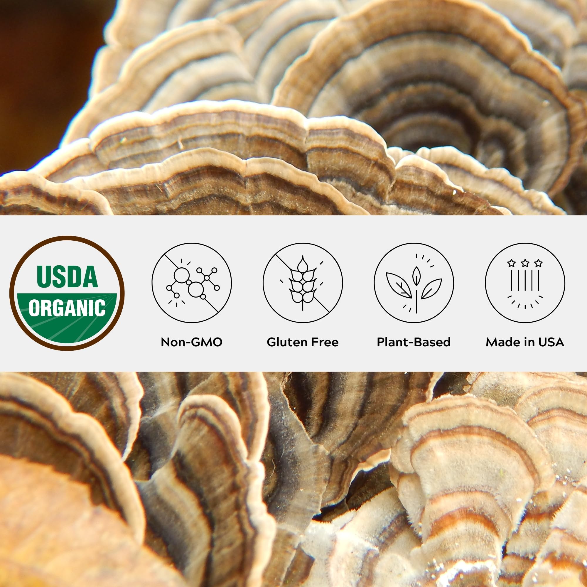 vegan mushroom supplement for energy