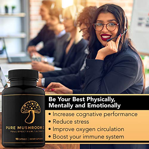 vegan mushroom supplement for energy
