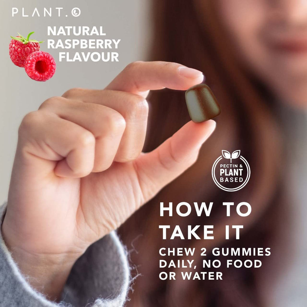 Vegan mushroom supplement for energy