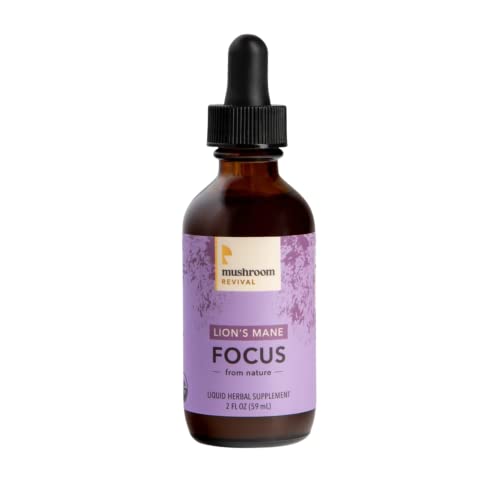 Vegan mushroom supplement for focus
