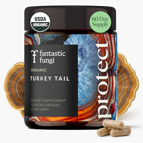 vegan mushroom supplement for wellness