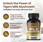 vegan mushroom supplement for wellness