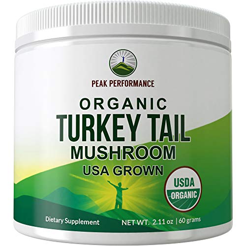 vegan mushroom supplement for wellness