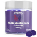 Vegan mushroom supplement for wellness