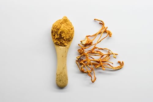 vegan mushrooms for natural health