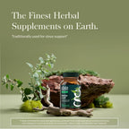 vegan nettle leaf supplement