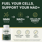 Vegan NMN capsules for energy
