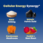 Vegan NMN supplement for vitality