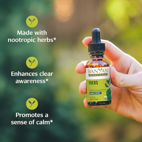 Vegan nootropic herbs for concentration