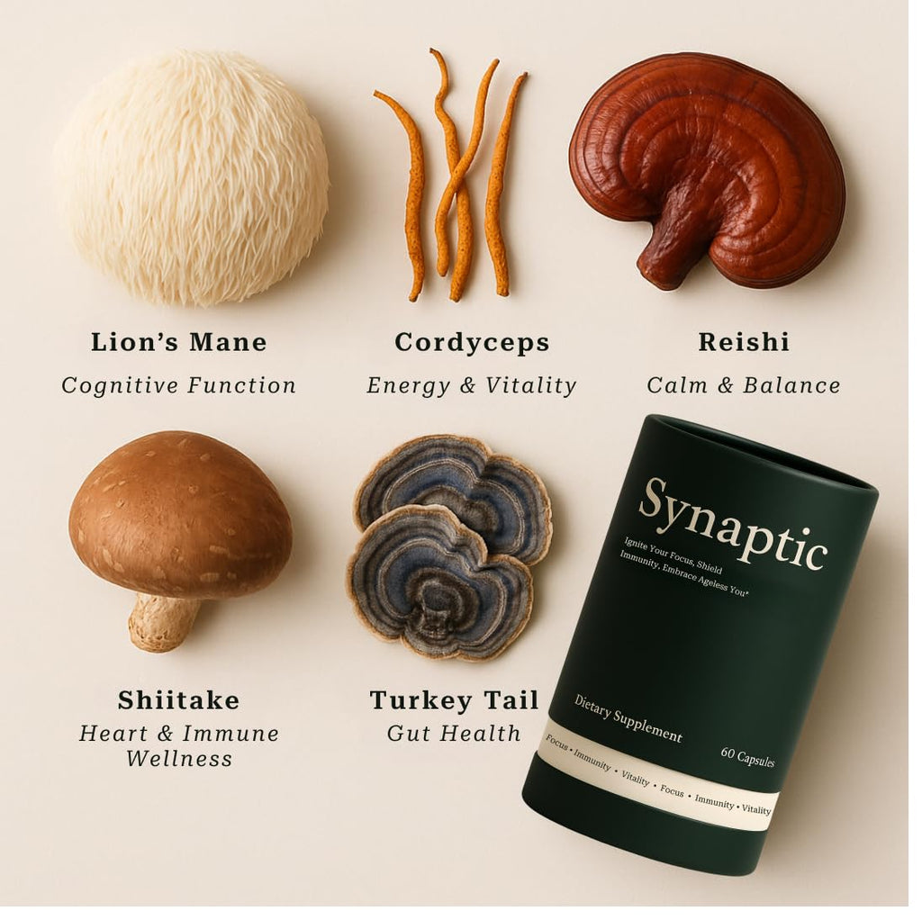 vegan nootropic mushroom capsules
