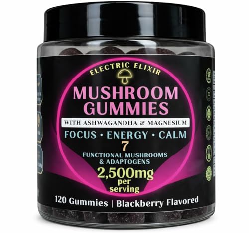 vegan nootropic supplement for focus
