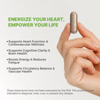 Vegan Notoginseng herbal supplement