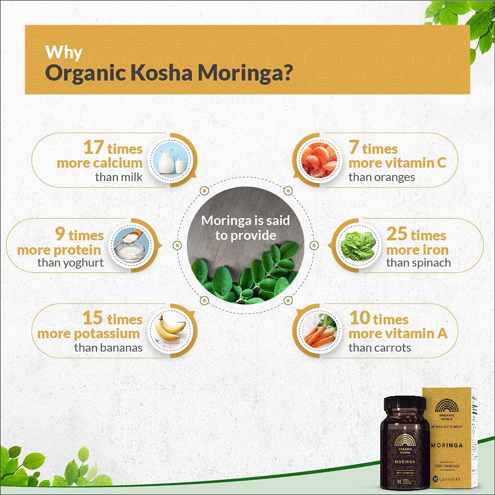 Vegan nutritional support supplement