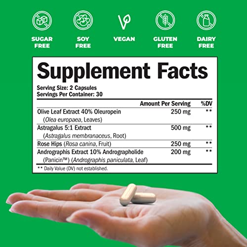 vegan olive leaf supplement for wellness