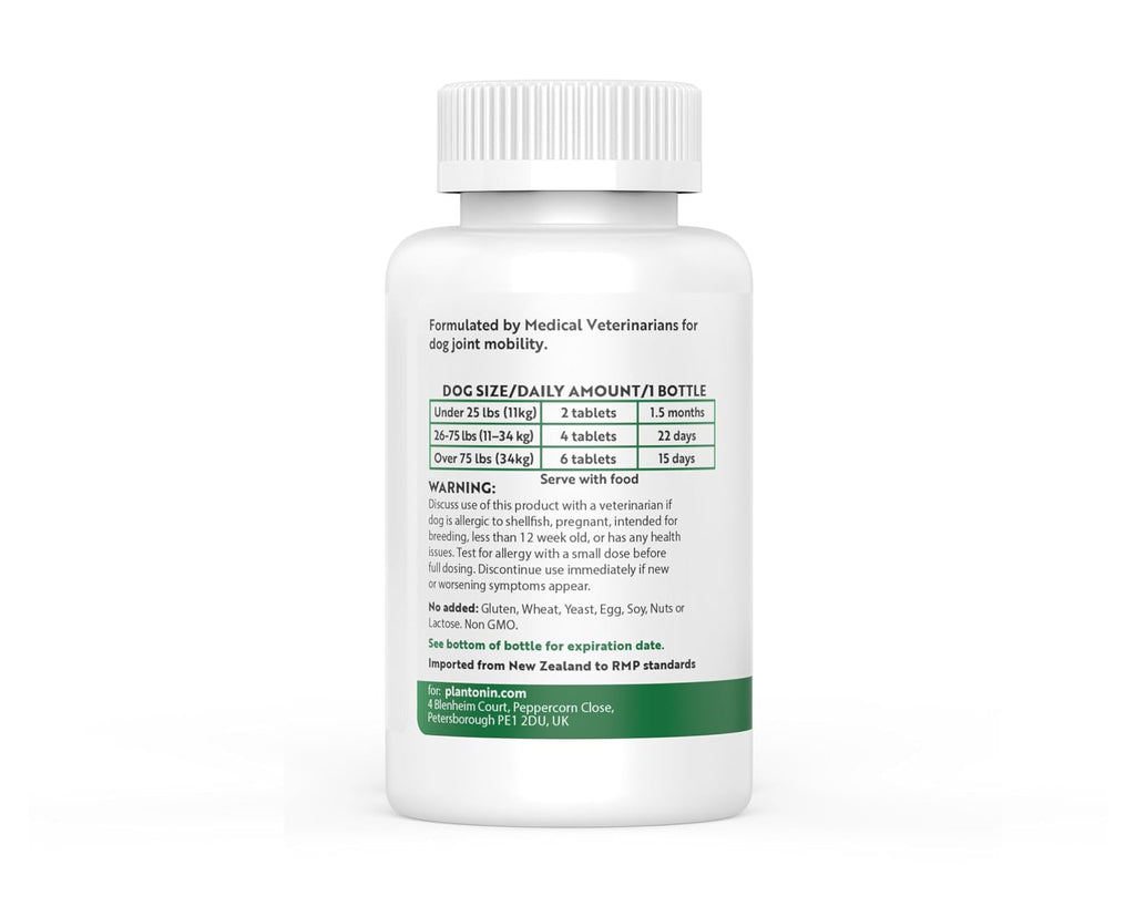 vegan omega 3 alternative options
