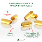 vegan omega 3 fish oil alternative