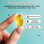 vegan omega 3 for healthy skin