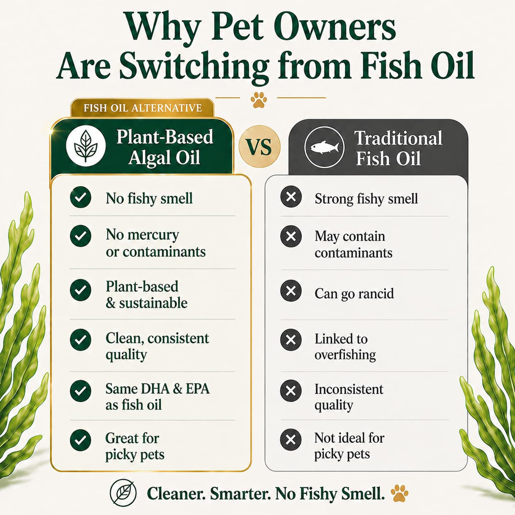 vegan omega 3 supplement for dogs