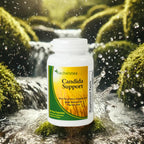 vegan oregano oil for wellness