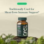 vegan oregano oil softgels