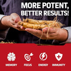 vegan panax ginseng for energy