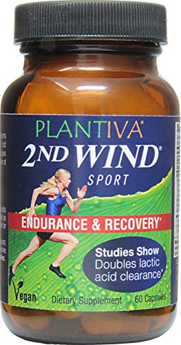 vegan power mushroom blend capsules