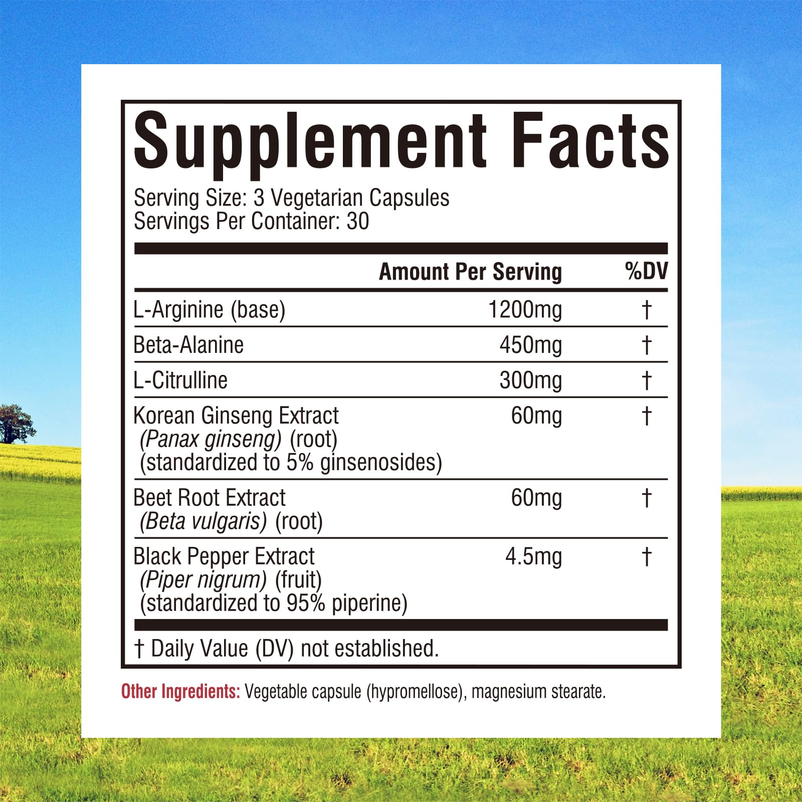 vegan pre-workout supplement for energy