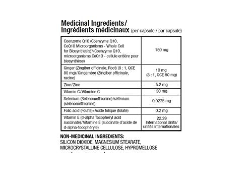 vegan prenatal vitamins for males