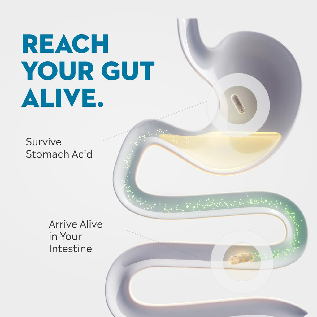 Vegan probiotic formula for men