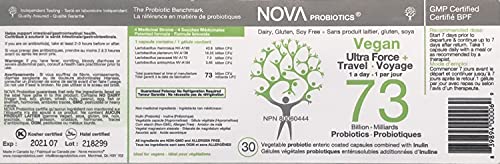 vegan probiotics for digestive health