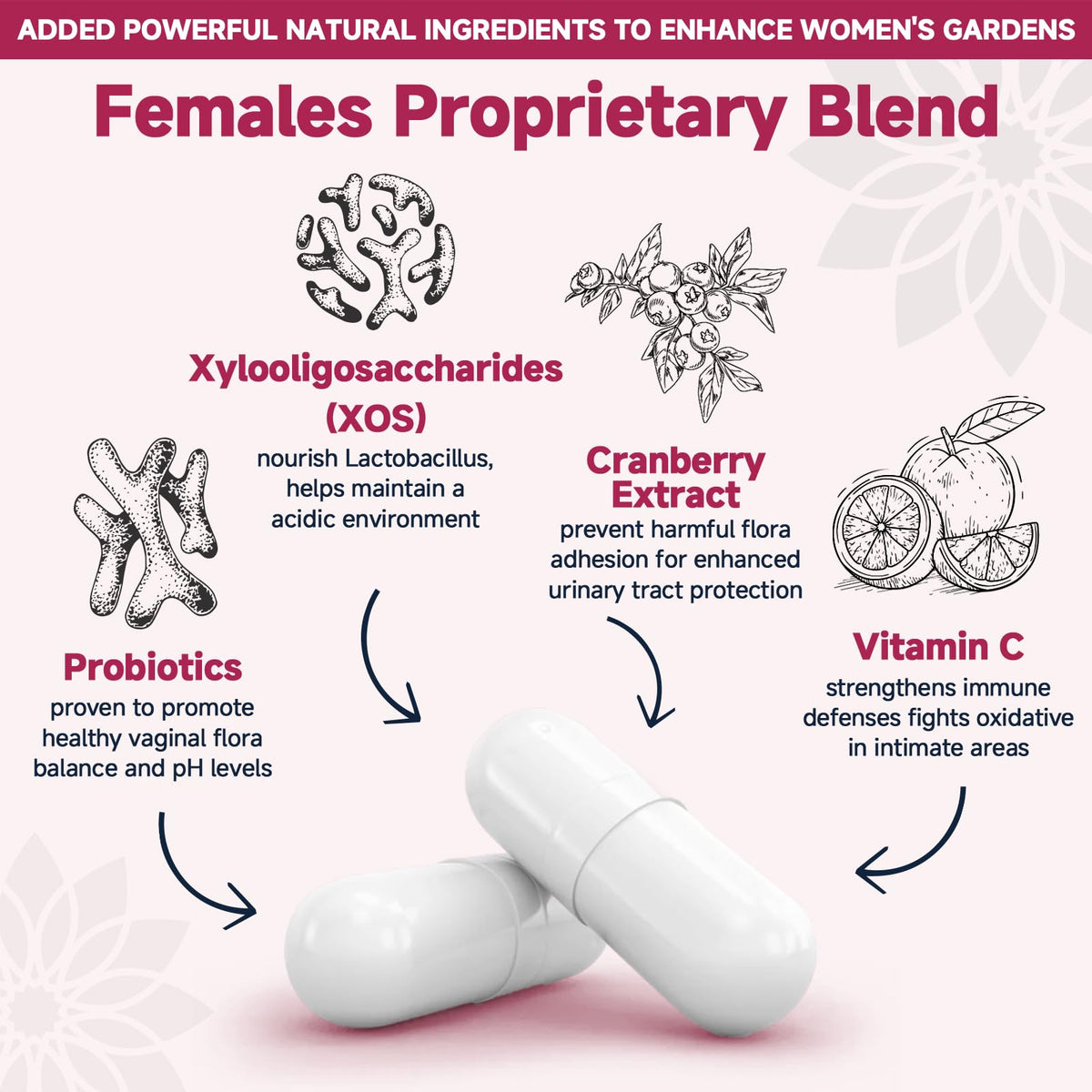 vegan probiotics for digestive health