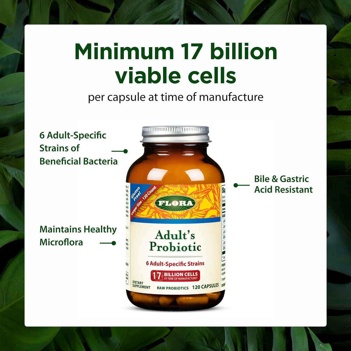 vegan probiotics for women’s wellness