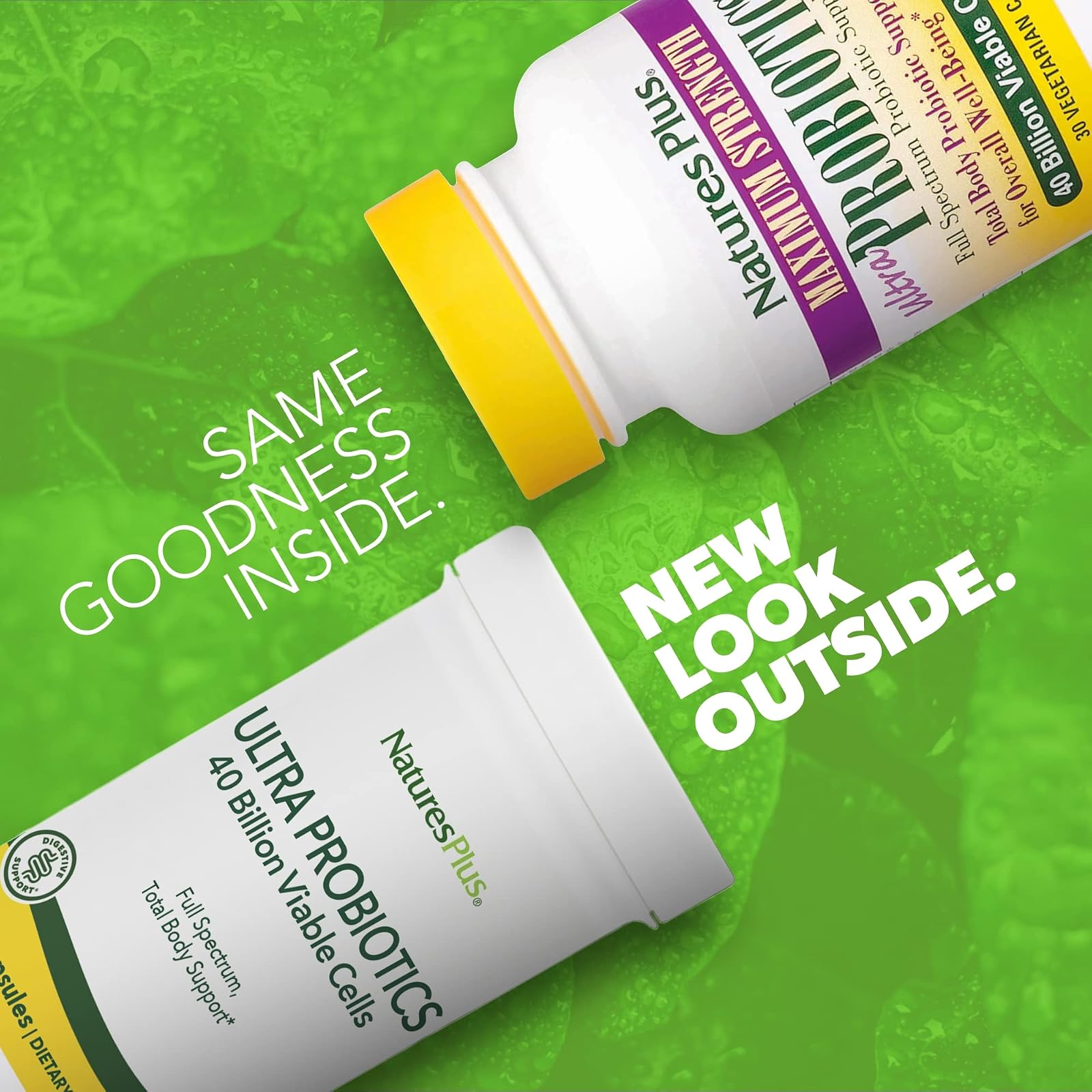 vegan probiotics for women support