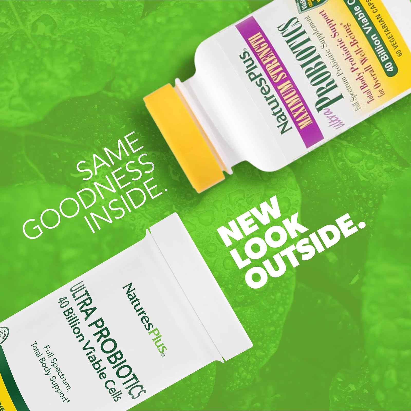vegan probiotics for women wellness