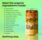 vegan protein alternative to whey