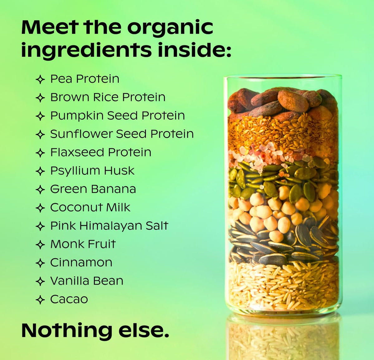 vegan protein alternative to whey